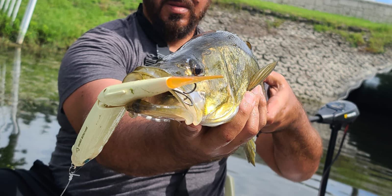 Glide Baits - Page 2 of 2 - Snook Snacks