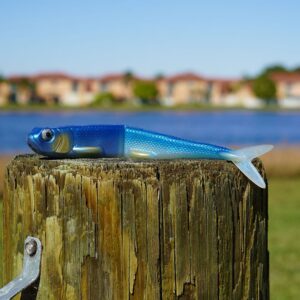 R&R Ladyfish - Snook Snacks