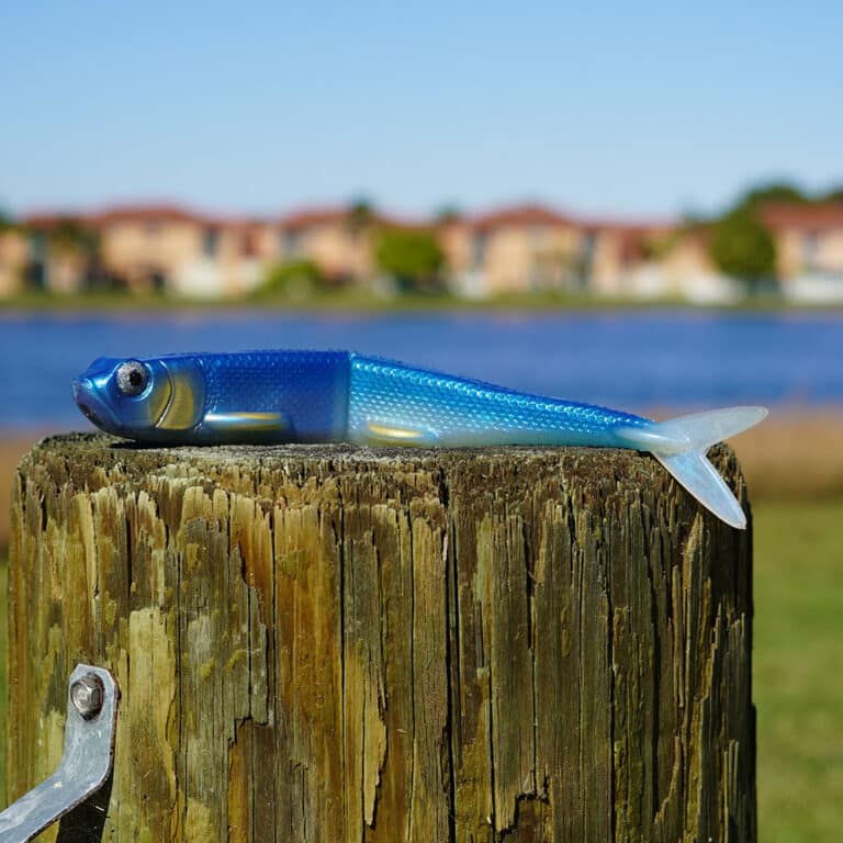 R&R Ladyfish - Snook Snacks